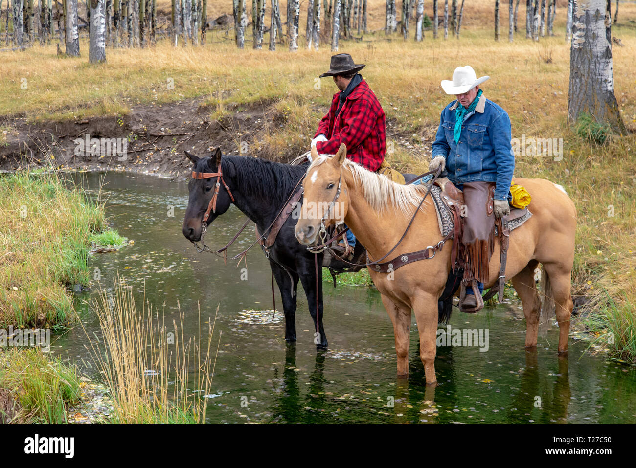 Two Cowboys Riding Horses High Resolution Stock Photography and Images ...