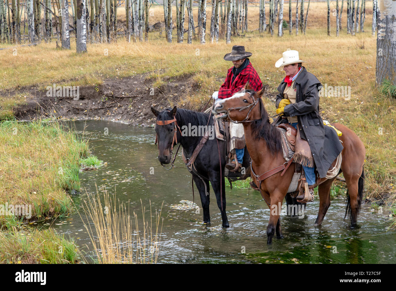 Two Cowboys Riding Horses High Resolution Stock Photography and Images ...