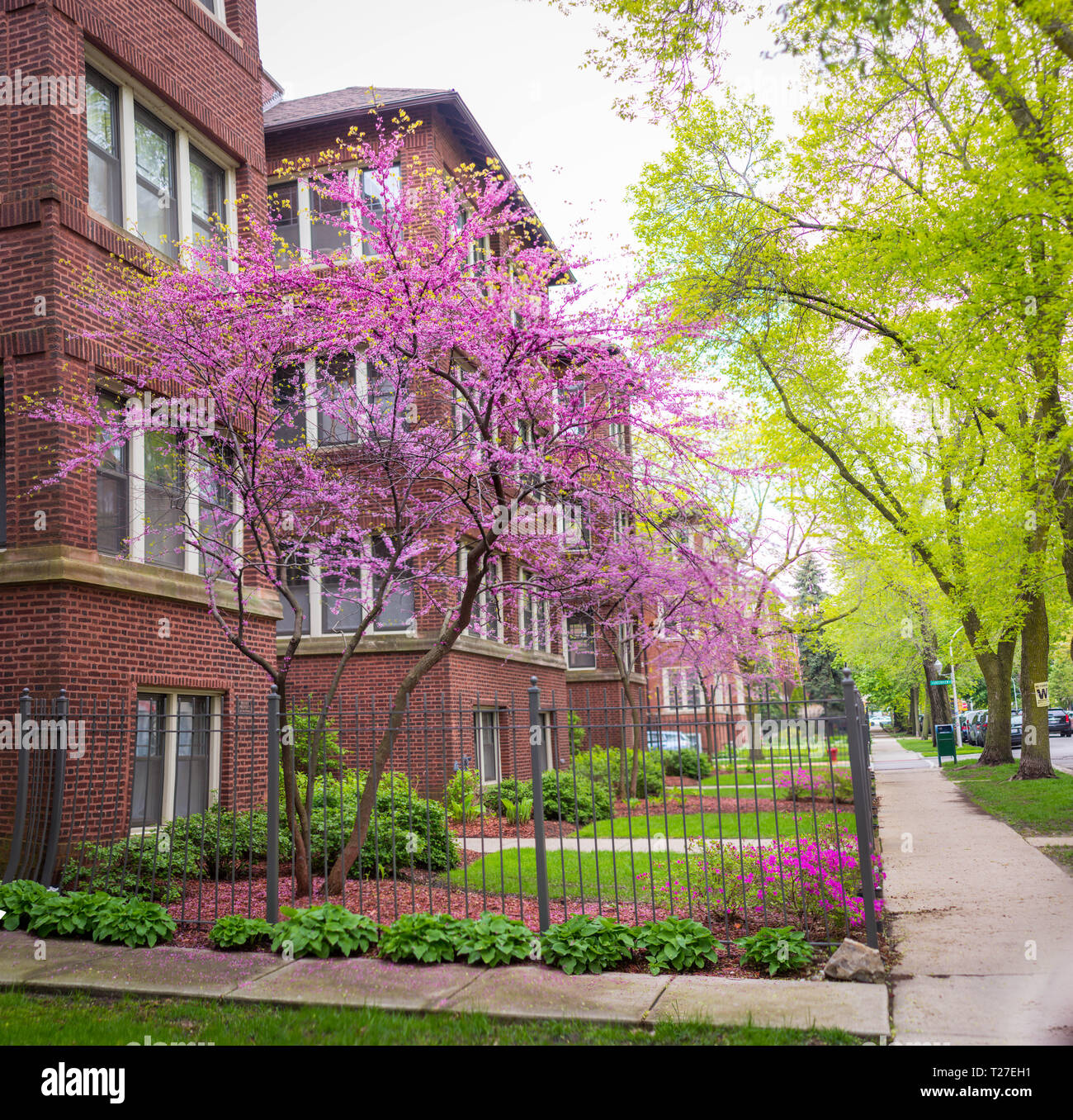 Midwest flowers hi-res stock photography and images - Alamy