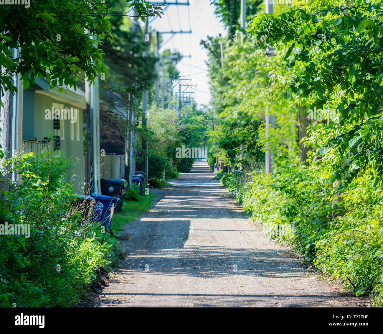 Path down a tree filled alleyway Stock Photo - Alamy