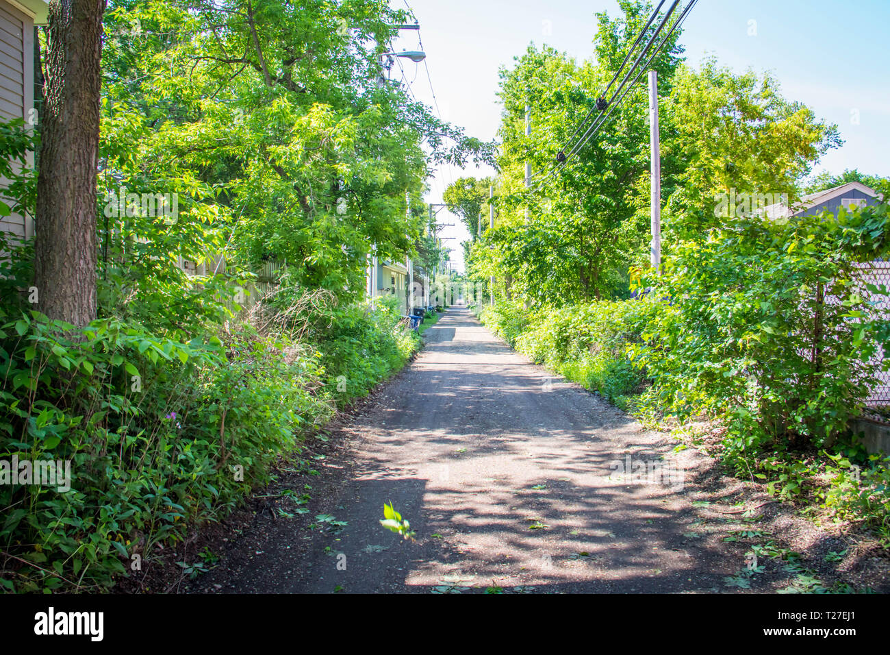 Tree walk path way hi-res stock photography and images - Alamy