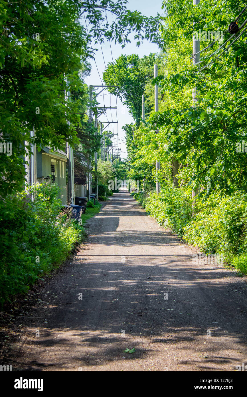 Tree walk path way hi-res stock photography and images - Alamy