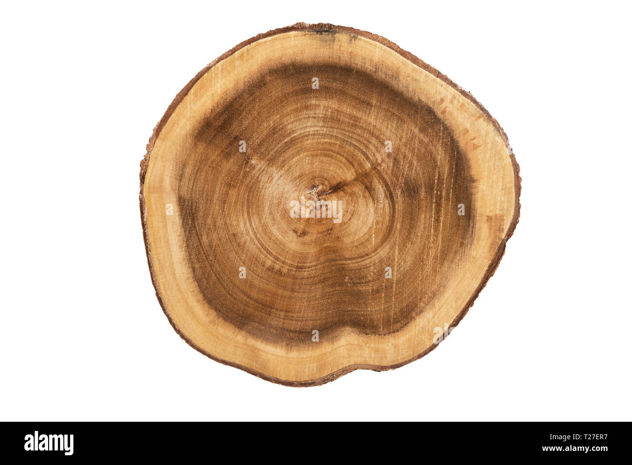 Real close up on a round wooden cut texture, directly above. Isolated ...