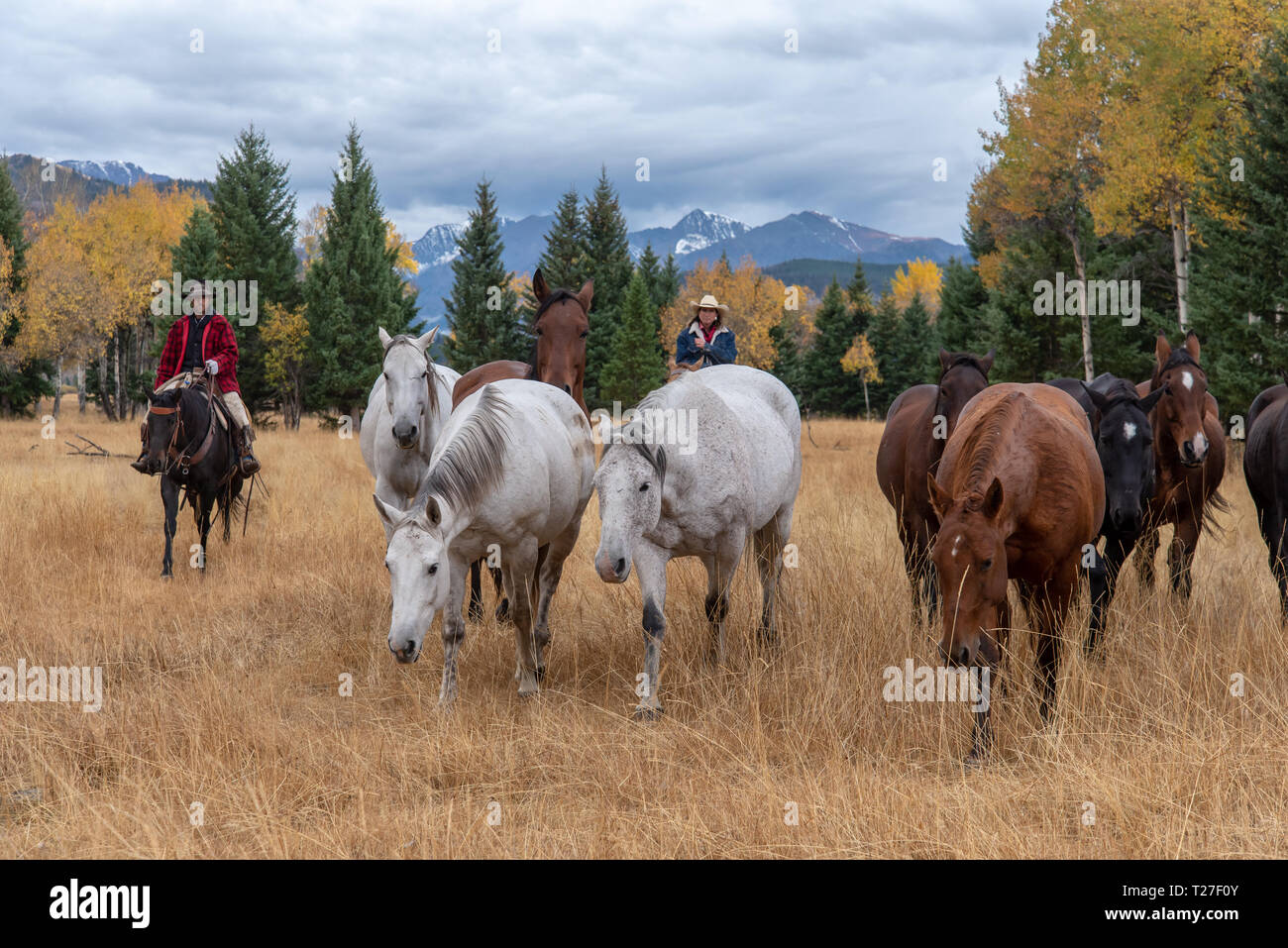 Slicker cowboy hi-res stock photography and images - Alamy