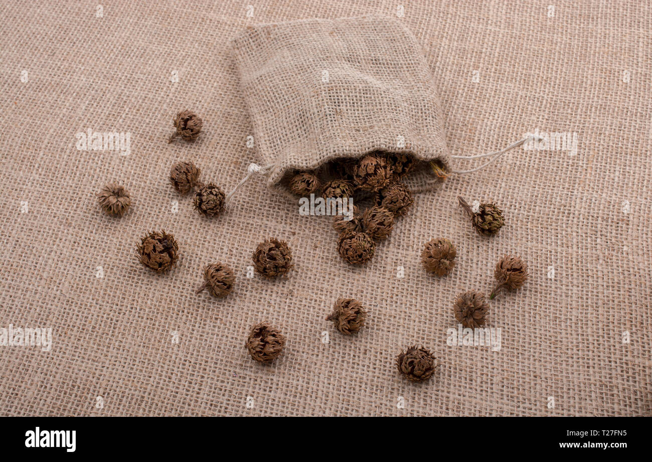 Plant pods, capsules out of sack on a canvas Stock Photo - Alamy