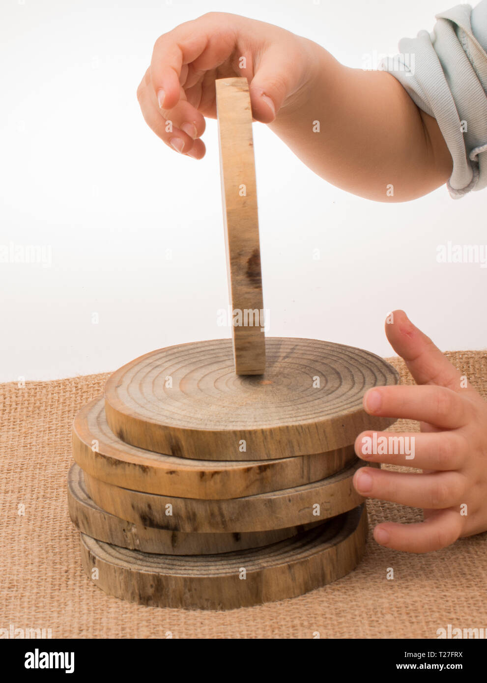 Wood Log cut in round thin pieces in hand Stock Photo - Alamy