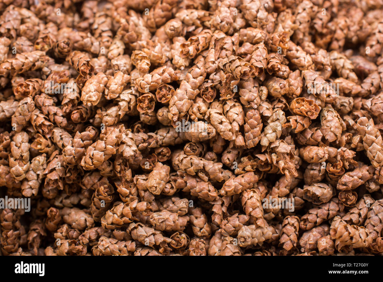 Plenty of Retro styled golden color keys Stock Photo - Alamy