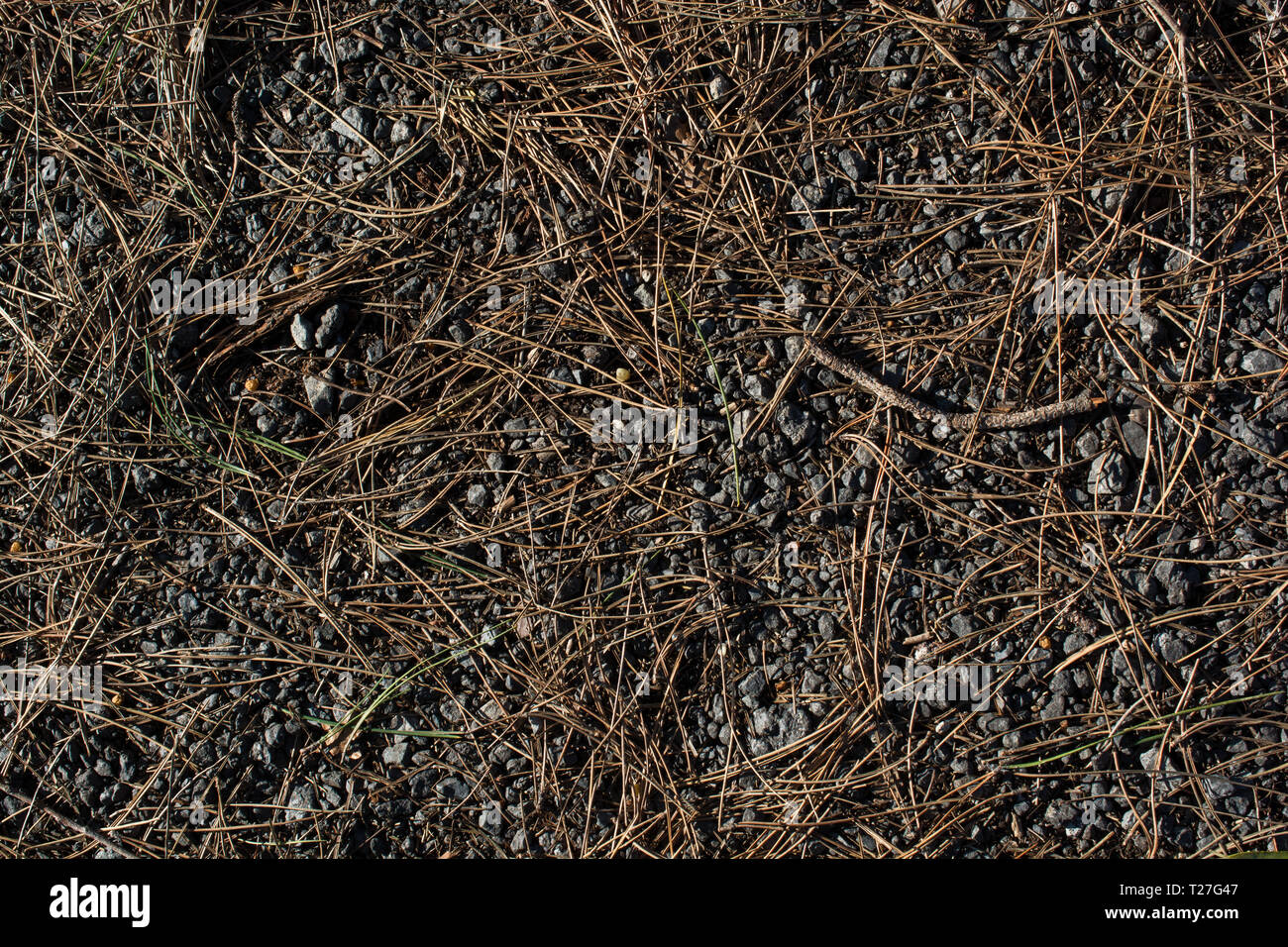 Texture background of autumn season with leaves Stock Photo - Alamy