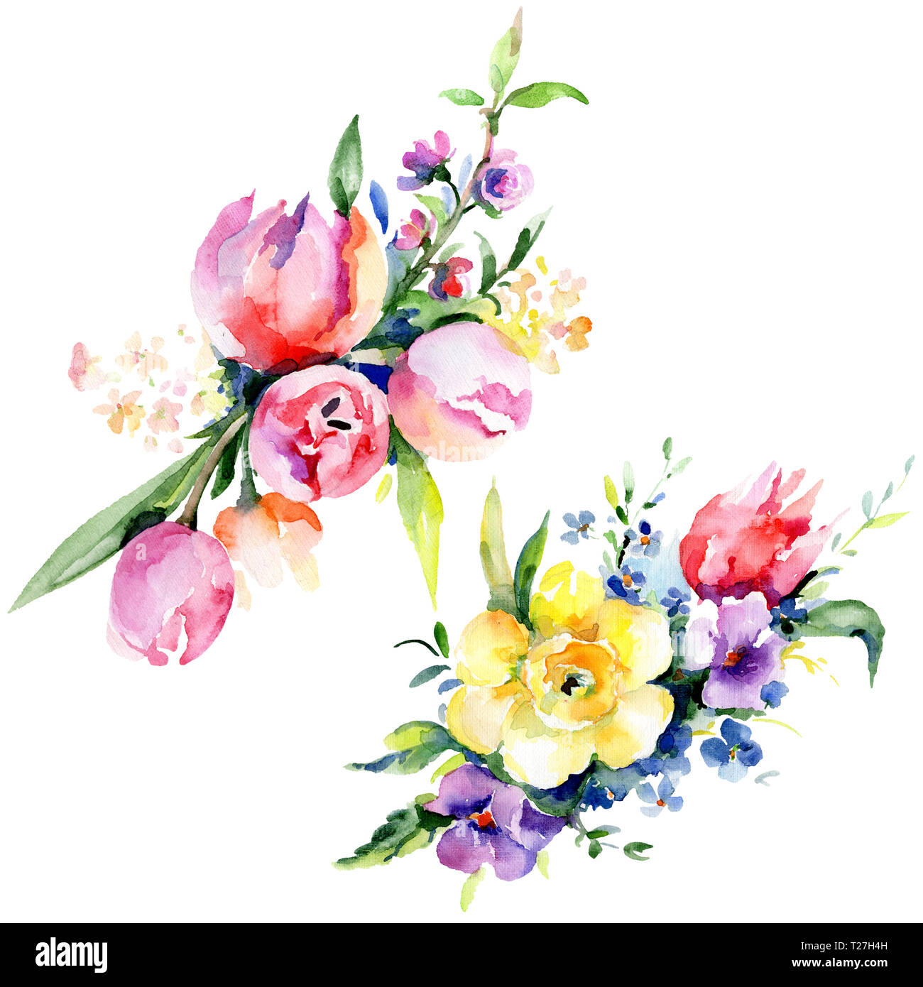 Bouquets floral botanical flowers. Watercolor background illustration ...