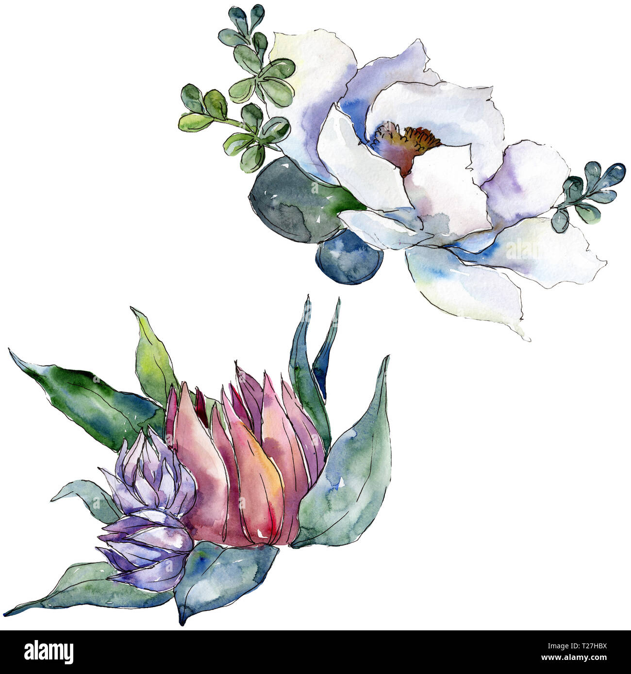 Bouquets floral botanical flowers. Watercolor background illustration ...