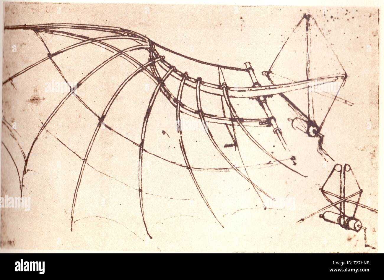Leonardo da vinci flying machine hi-res stock photography and images ...