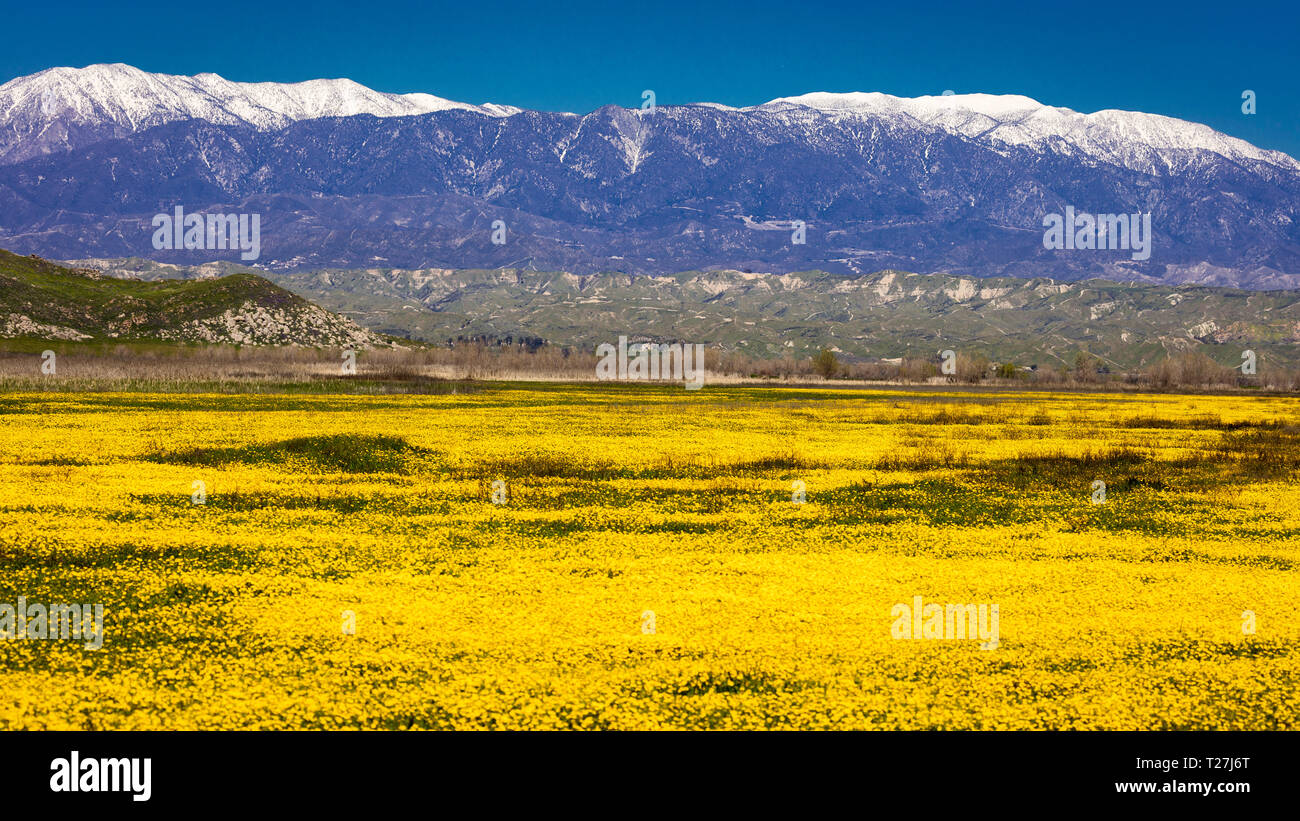 Hemet california hi-res stock photography and images - Alamy