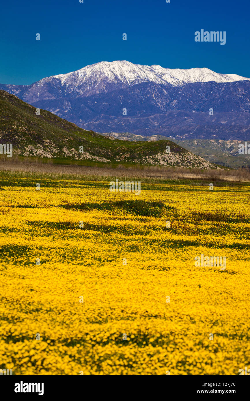 Hemet california hi-res stock photography and images - Alamy