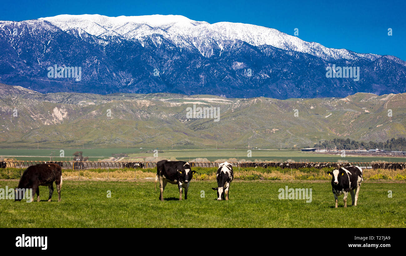 Hemet california hi-res stock photography and images - Alamy