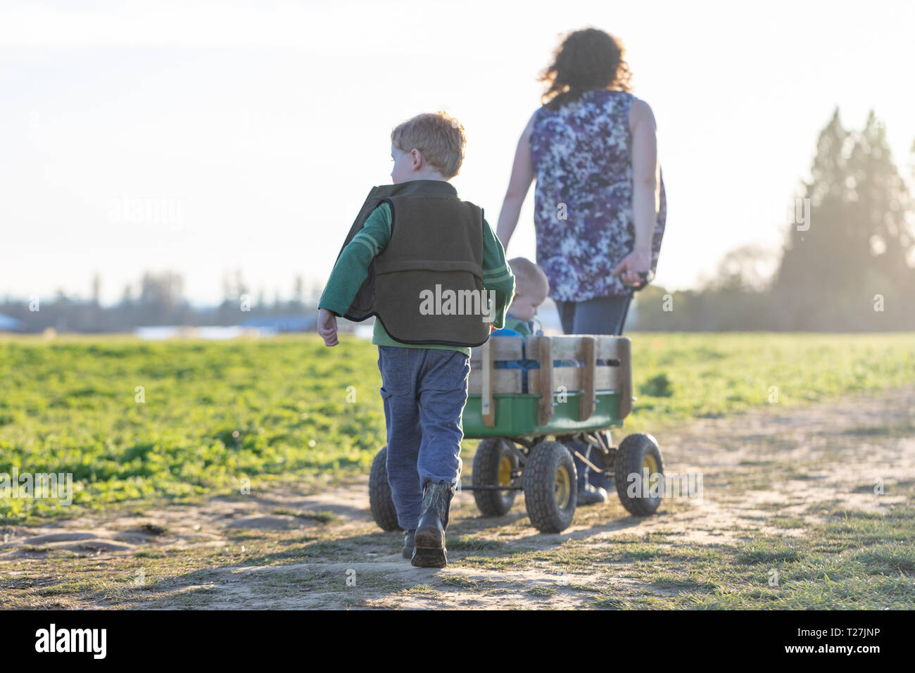 People walking through a park facing the sun, Spring season Stock Photo ...