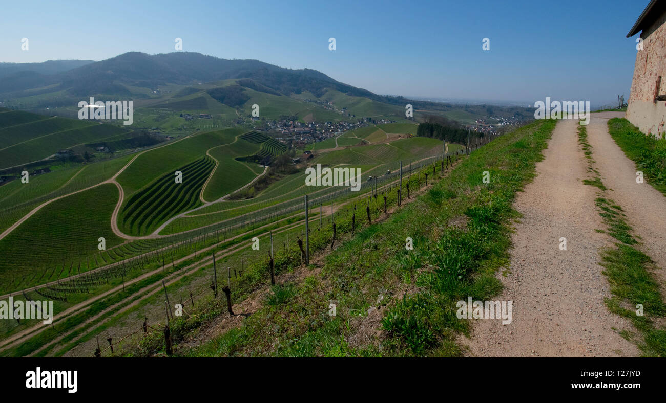 Beautiful village of Durbach with its castle Staufenberg in the black ...