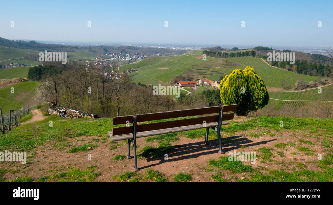 Beautiful village of Durbach with its castle Staufenberg in the black ...