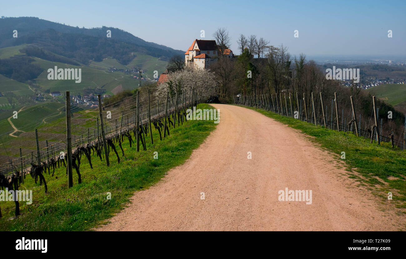 Beautiful village of Durbach with its castle Staufenberg in the black ...
