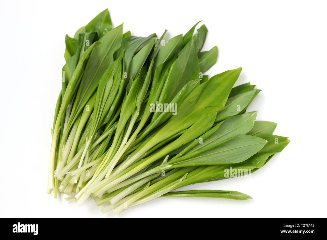 ramson wild garlic on a white background Stock Photo - Alamy
