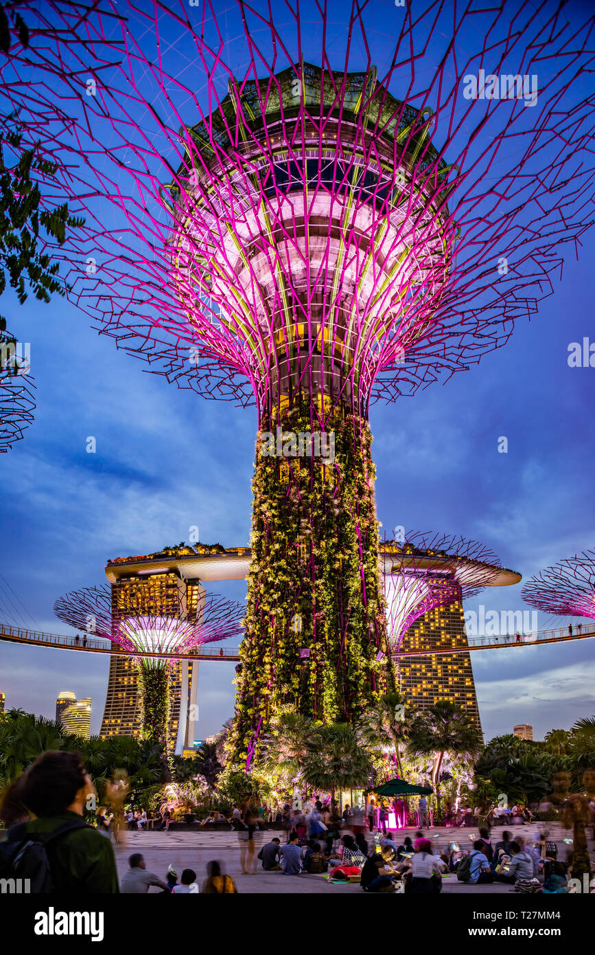 SINGAPORE CITY, SINGAPORE - FEBRUARY 03, 2019: Gardens by the bay in ...