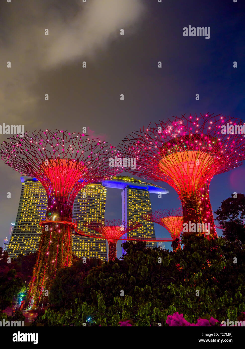 SINGAPORE CITY, SINGAPORE - FEBRUARY 03, 2019: Gardens by the bay in ...