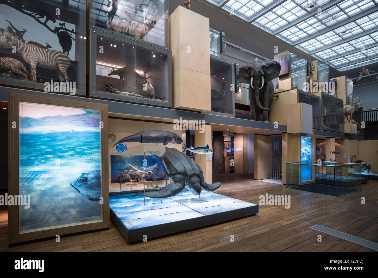 Hatton gallery hi-res stock photography and images - Alamy