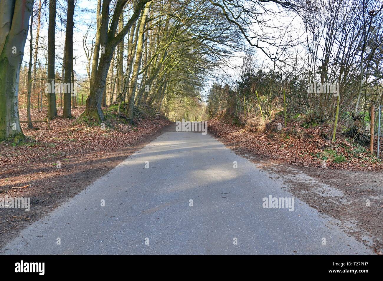Gravel footpaths hi-res stock photography and images - Alamy