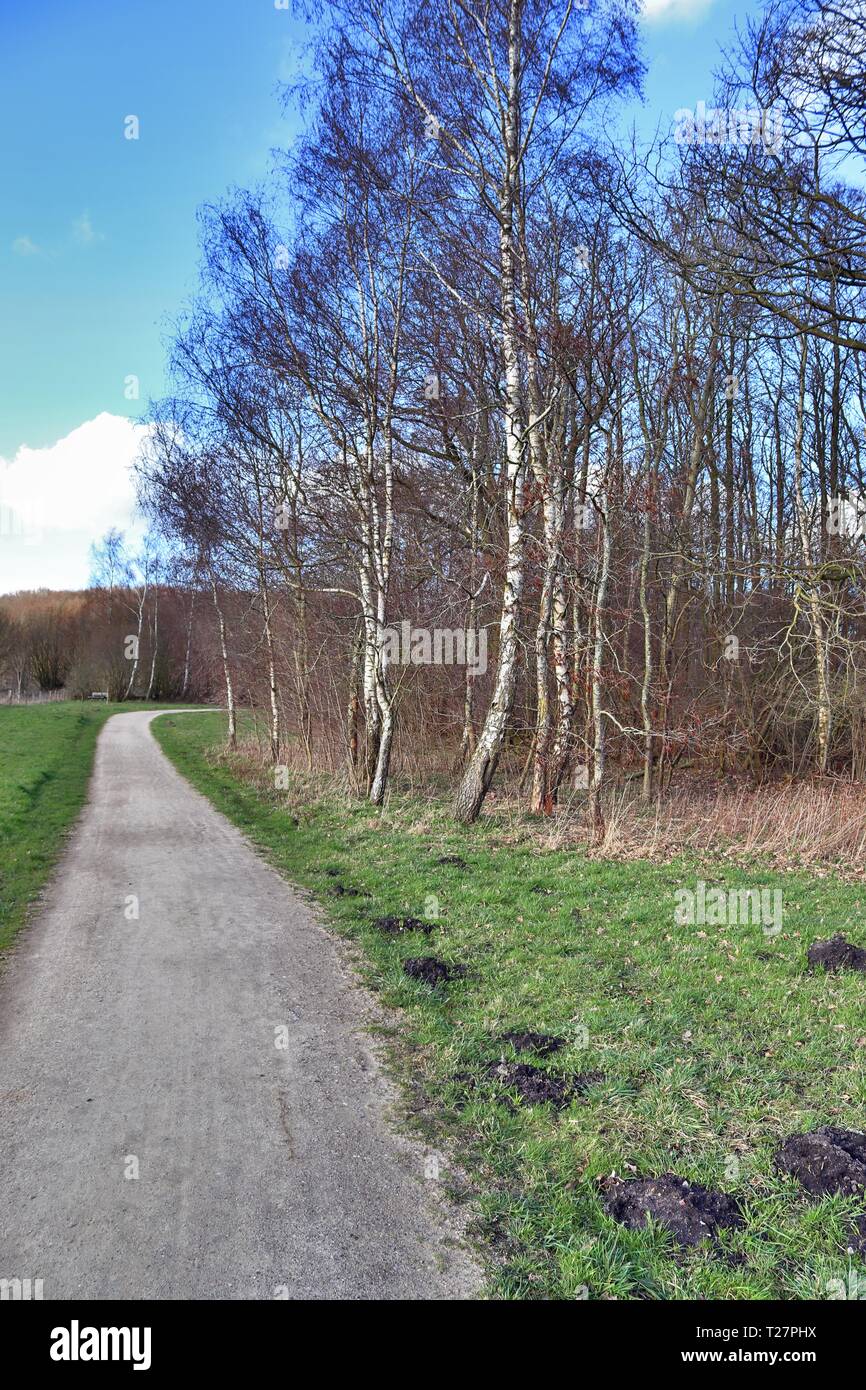 Gravel Footpaths High Resolution Stock Photography and Images - Alamy