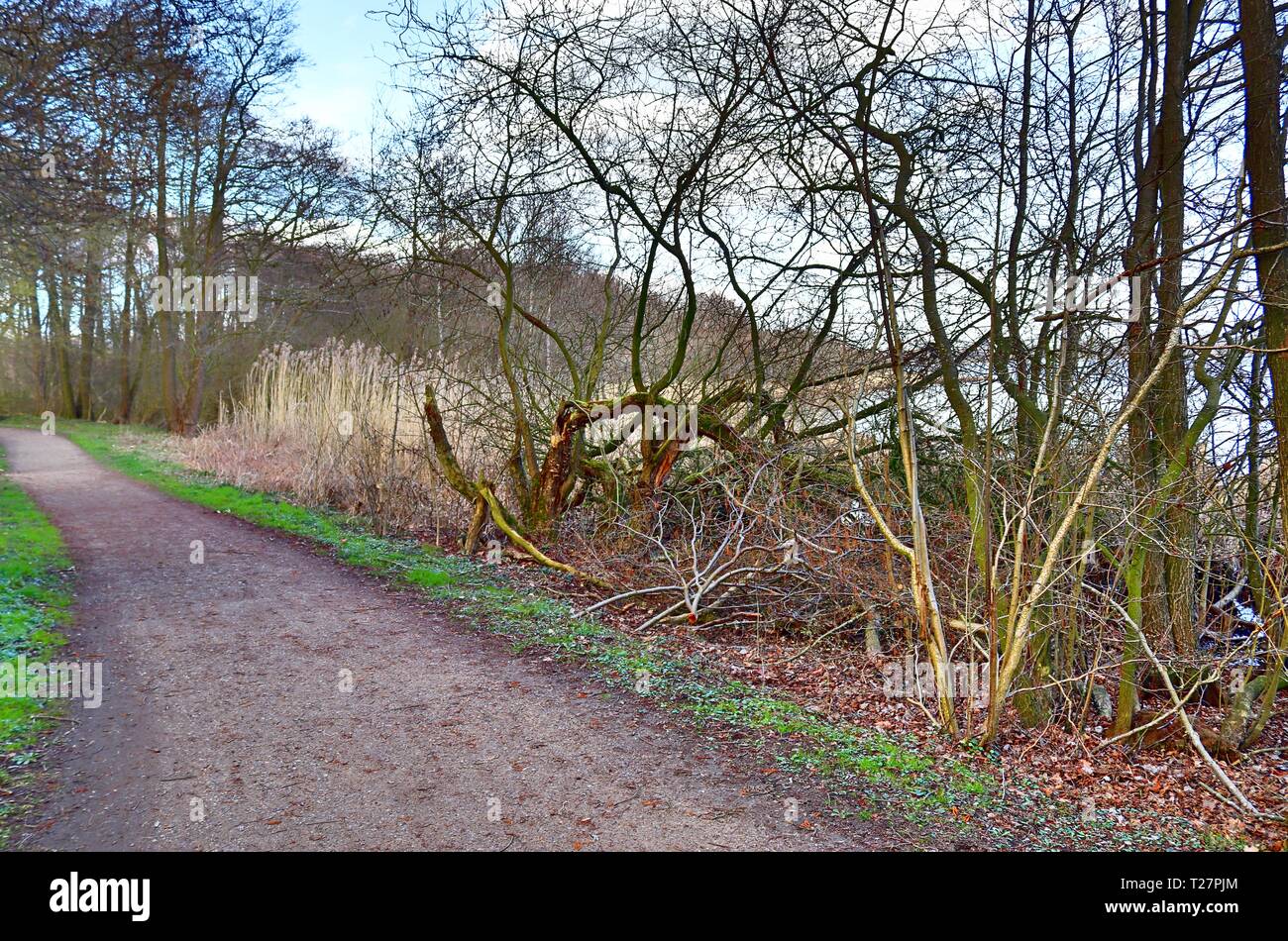 Gravel Footpaths High Resolution Stock Photography and Images - Alamy