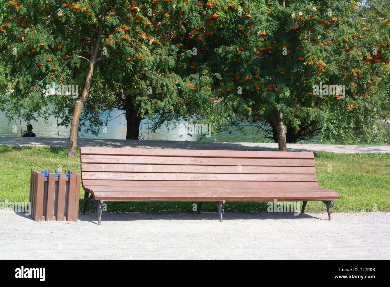 bench at dry sunny day Stock Photo - Alamy