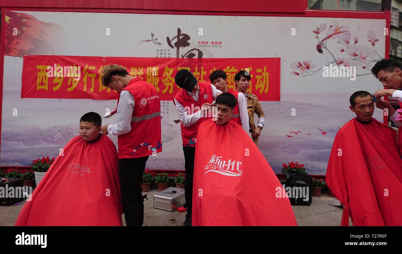 Free Hairdressing Activities High Resolution Stock Photography and ...