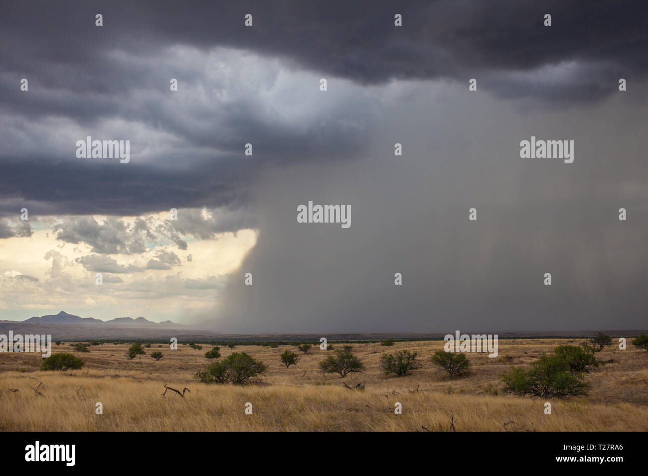 Santa cruz county arizona hi-res stock photography and images - Alamy