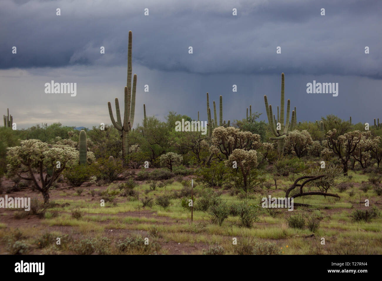 Sells arizona hi-res stock photography and images - Alamy