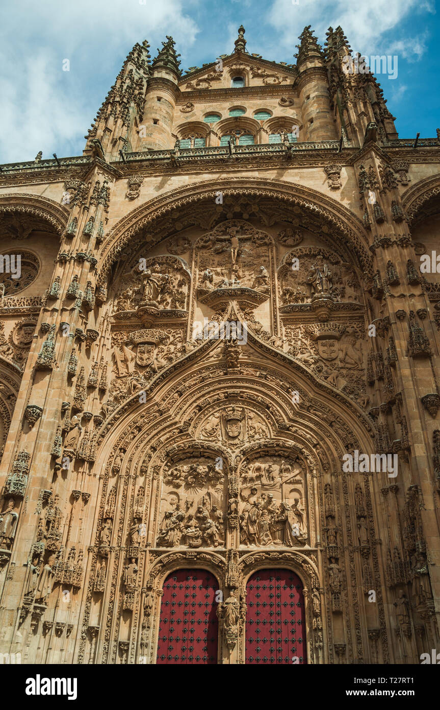 In front of the cathedral of salamanca hi-res stock photography and ...