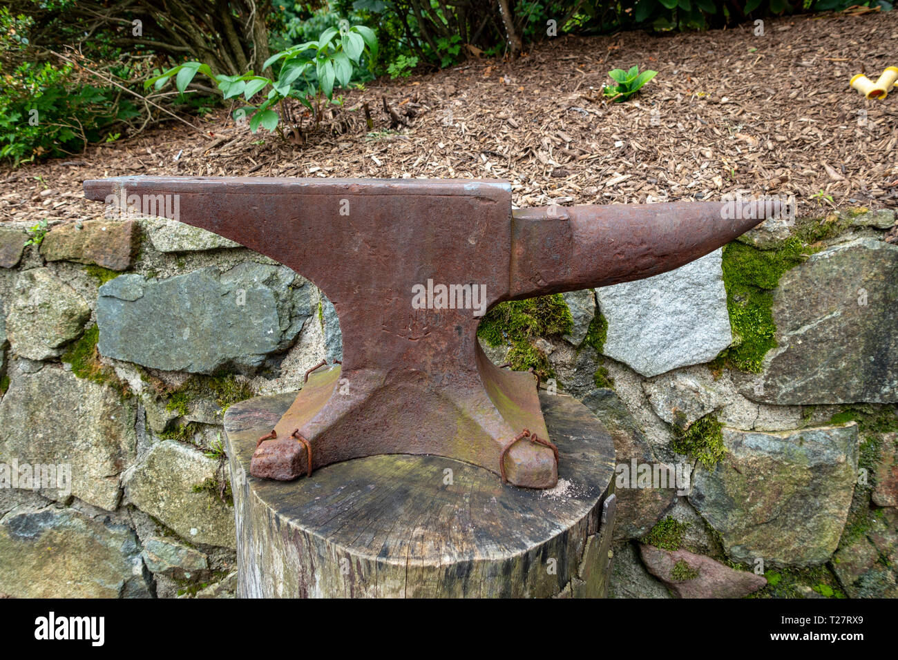Anvil on a cut tree stump in a wooded backyard Stock Photo - Alamy