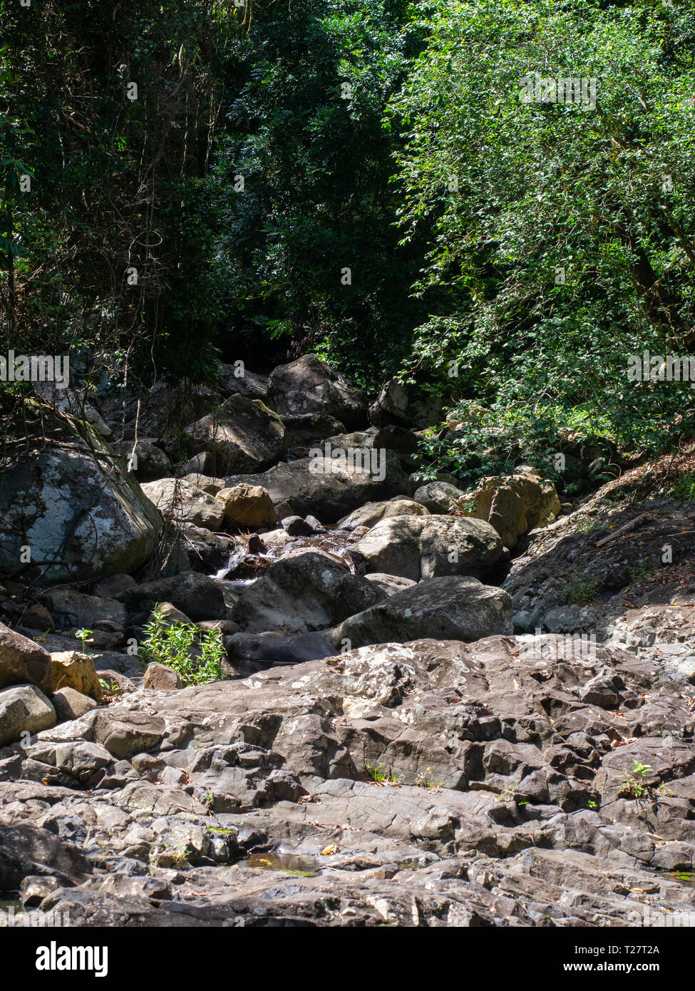 Rocky Stream Bed Stock Photo - Alamy