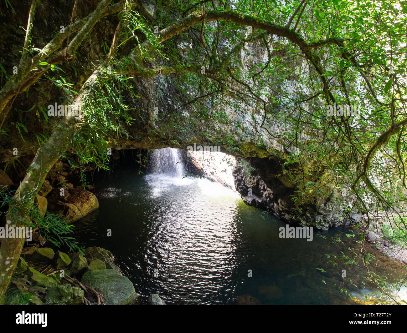 Natural Bridge Springbrook National Park Stock Photo - Alamy