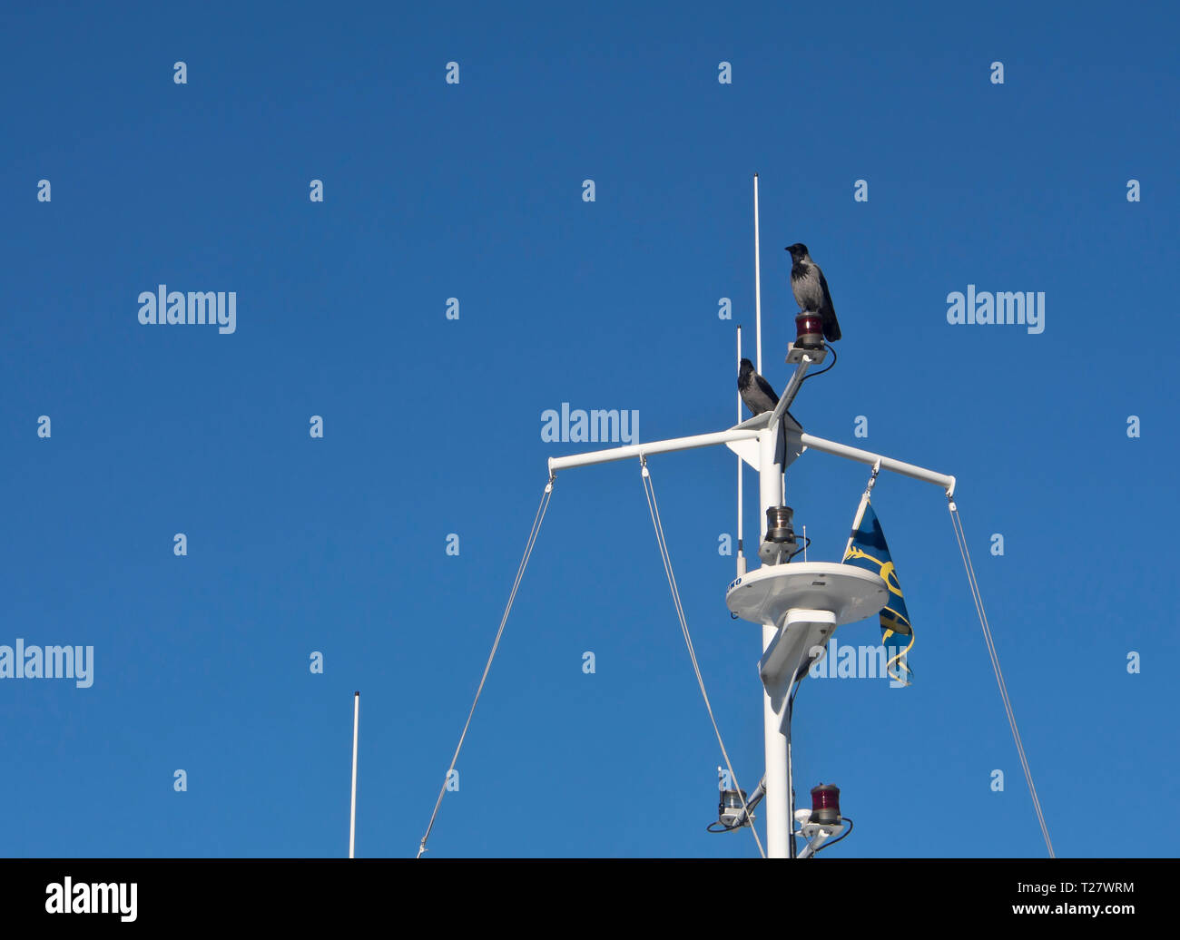 Two crows have taken up the position of lookout in the mast of a ferry ...