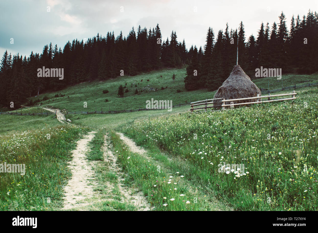Summer landscape with mountains, fir forest, road and haystack in hipster vintage retro style ...
