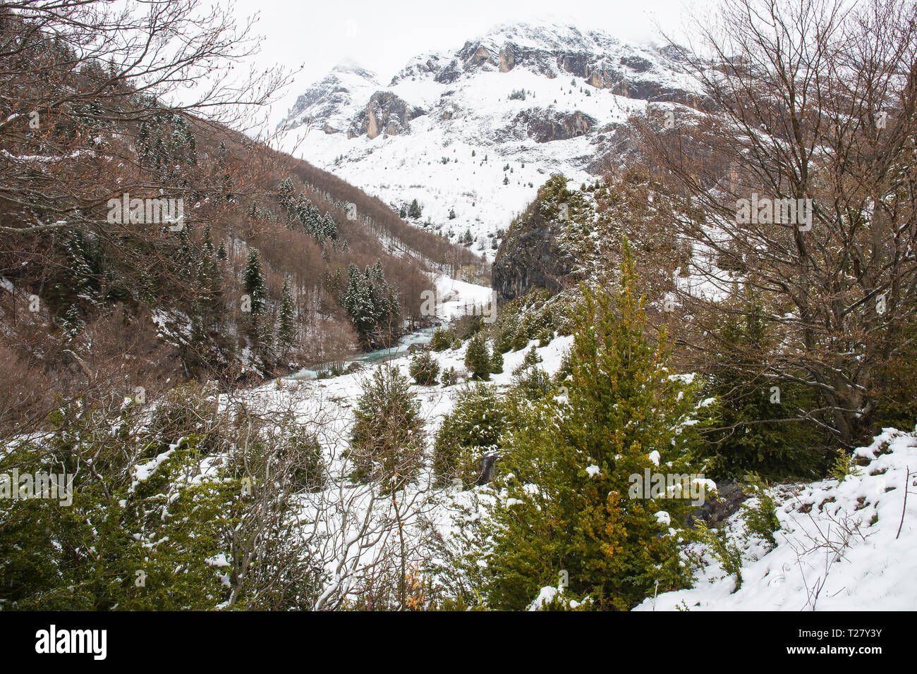 Bujaruelo valley in Ordesa y Monte Perdido national park with snow in ...