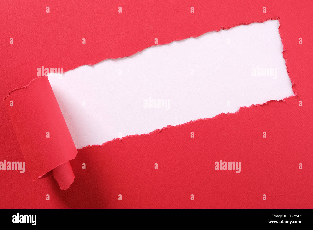 Torn red paper strip curled edge angled diagonal white background Stock ...