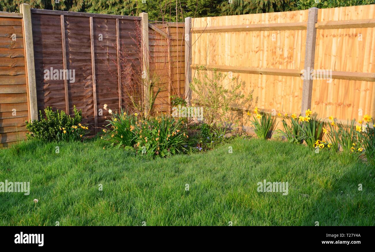 English garden on a damp cold spring morning in late March Stock Photo ...