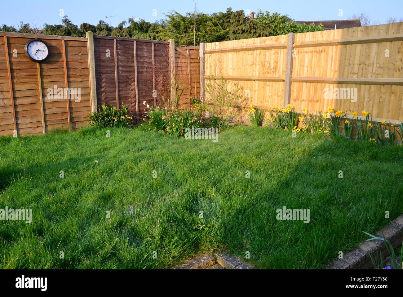 English garden on a damp cold spring morning in late March Stock Photo ...