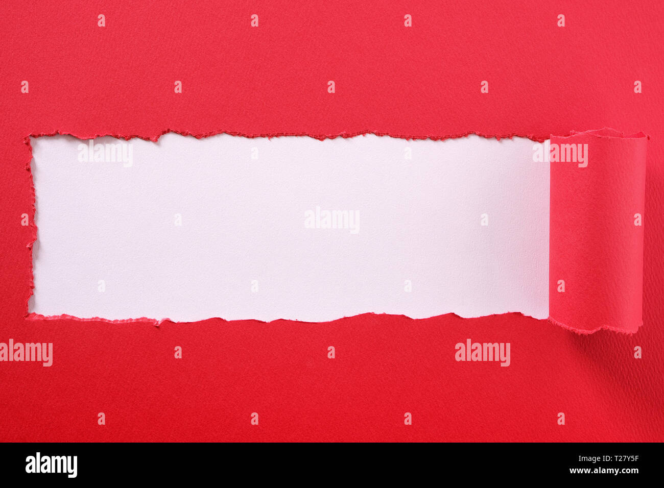 Torn red paper strip curled edge center frame white background Stock ...