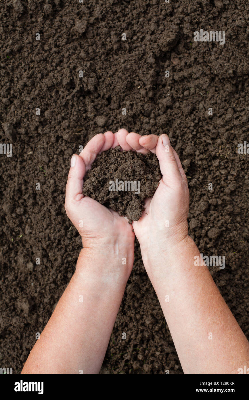 human hands with soil on brown soil background Stock Photo - Alamy