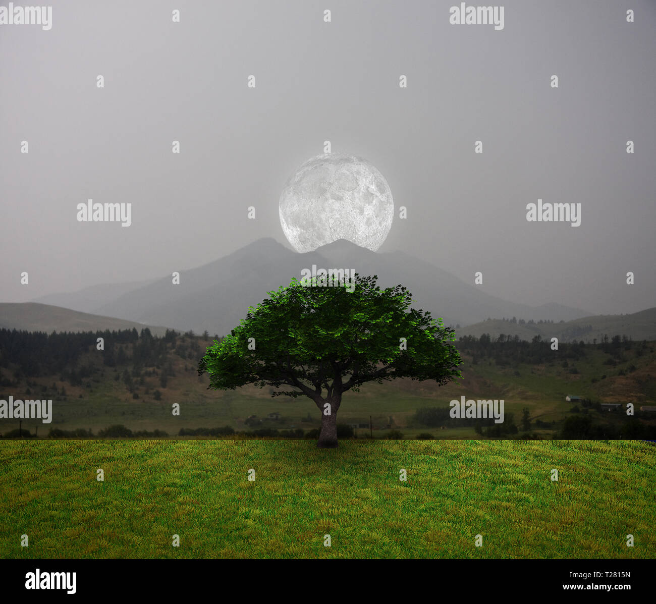 Green Tree. Moon over mountains. 3D rendering Stock Photo - Alamy