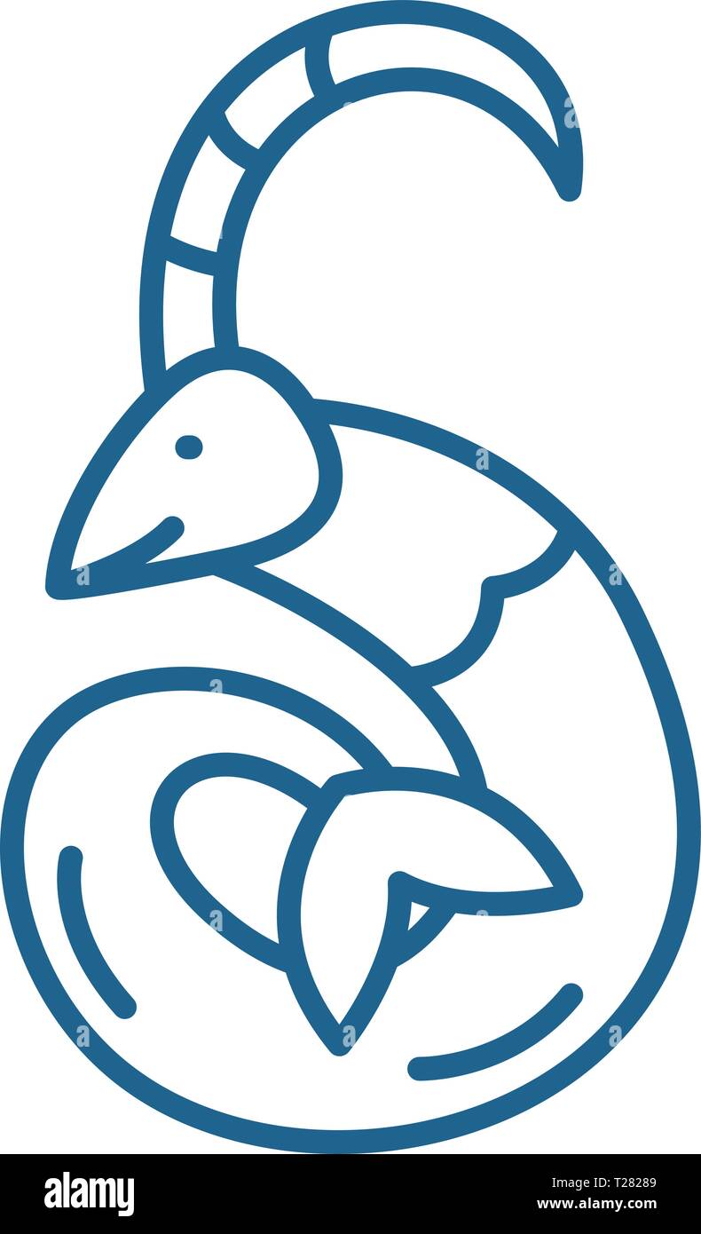 Capricorn zodiac sign line icon concept. Capricorn zodiac sign flat ...