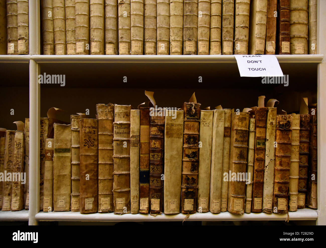 Ancient library books Stock Photo - Alamy