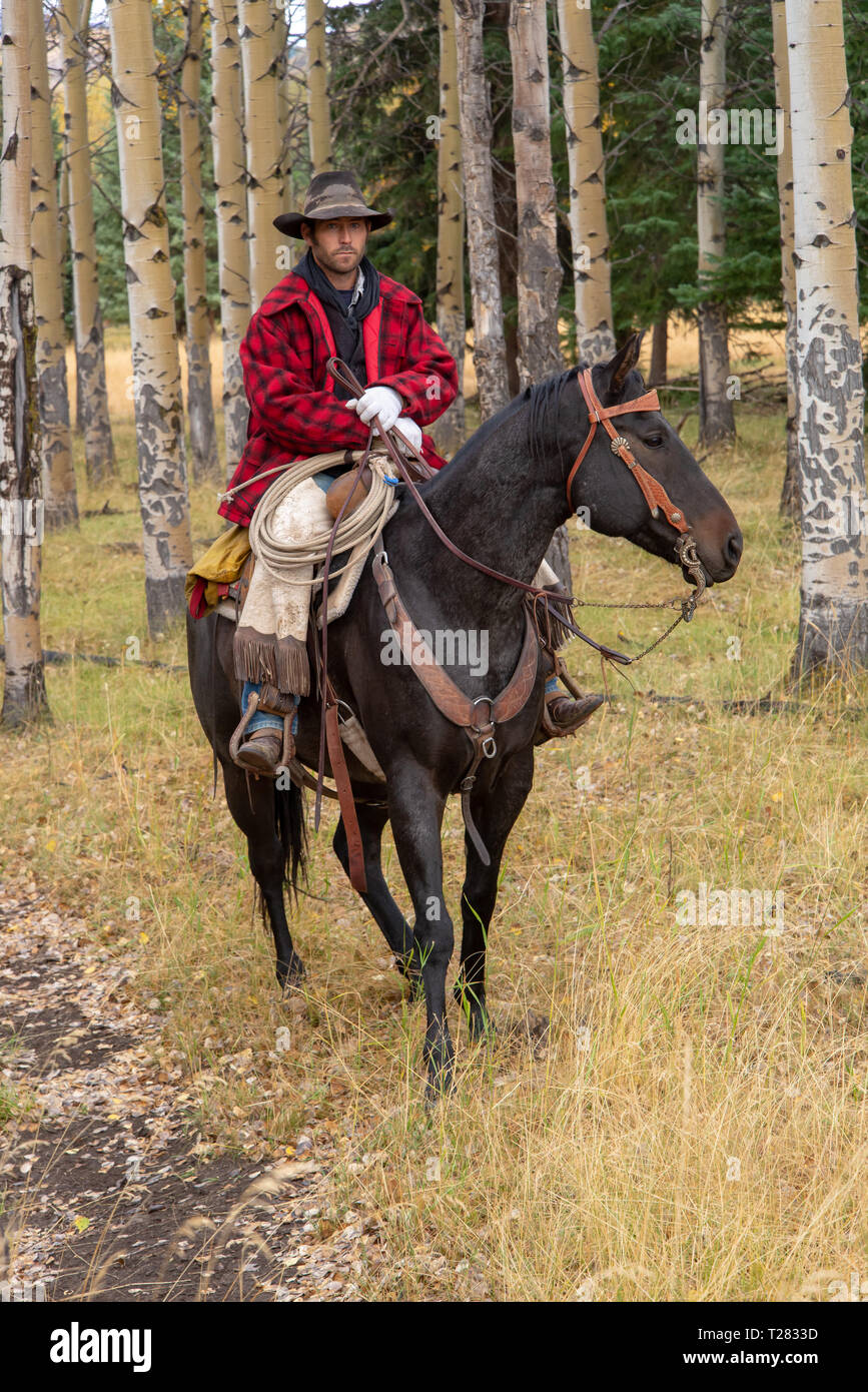 Slicker cowboy hi-res stock photography and images - Alamy