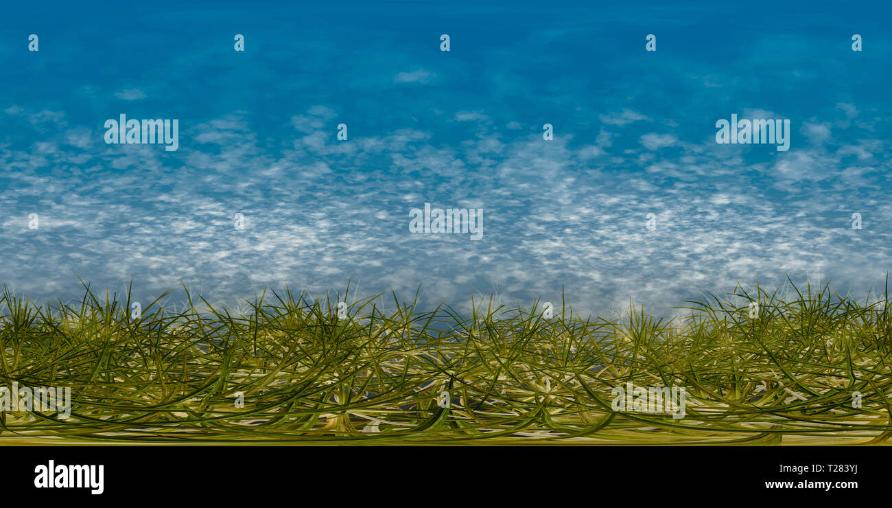 hdri map of blue sky and green grass Stock Photo - Alamy